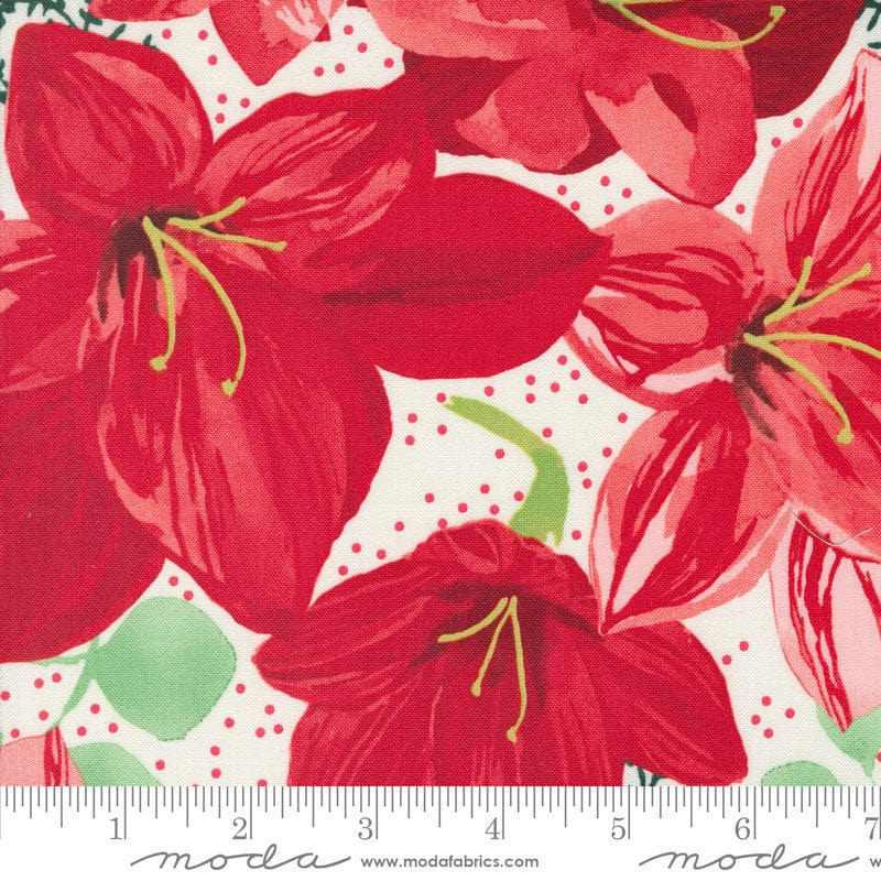 Moda Winterly | Fabric